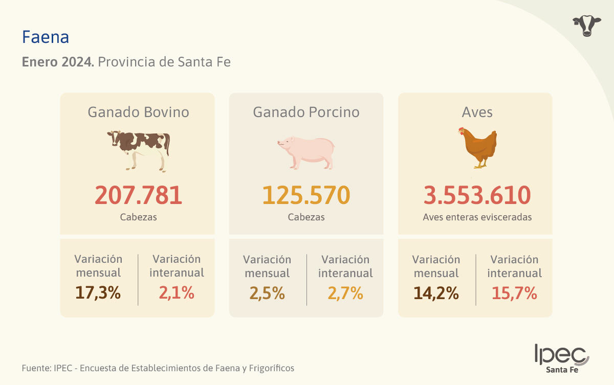 Informes Faena — IPEC